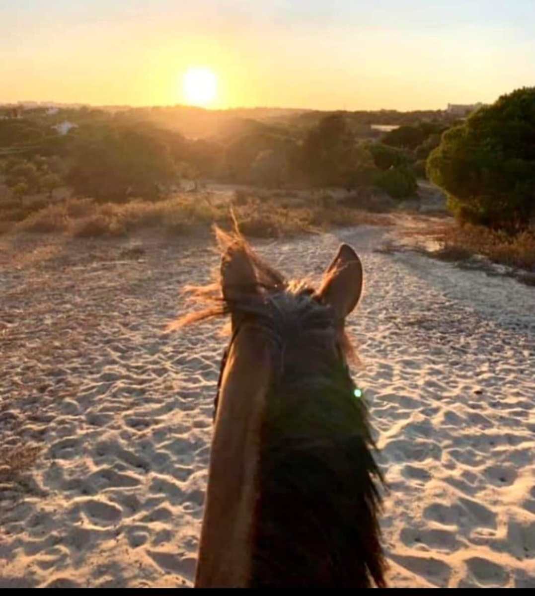 Special – Sunset Trek – 55€ | Albufeira Riding Centre