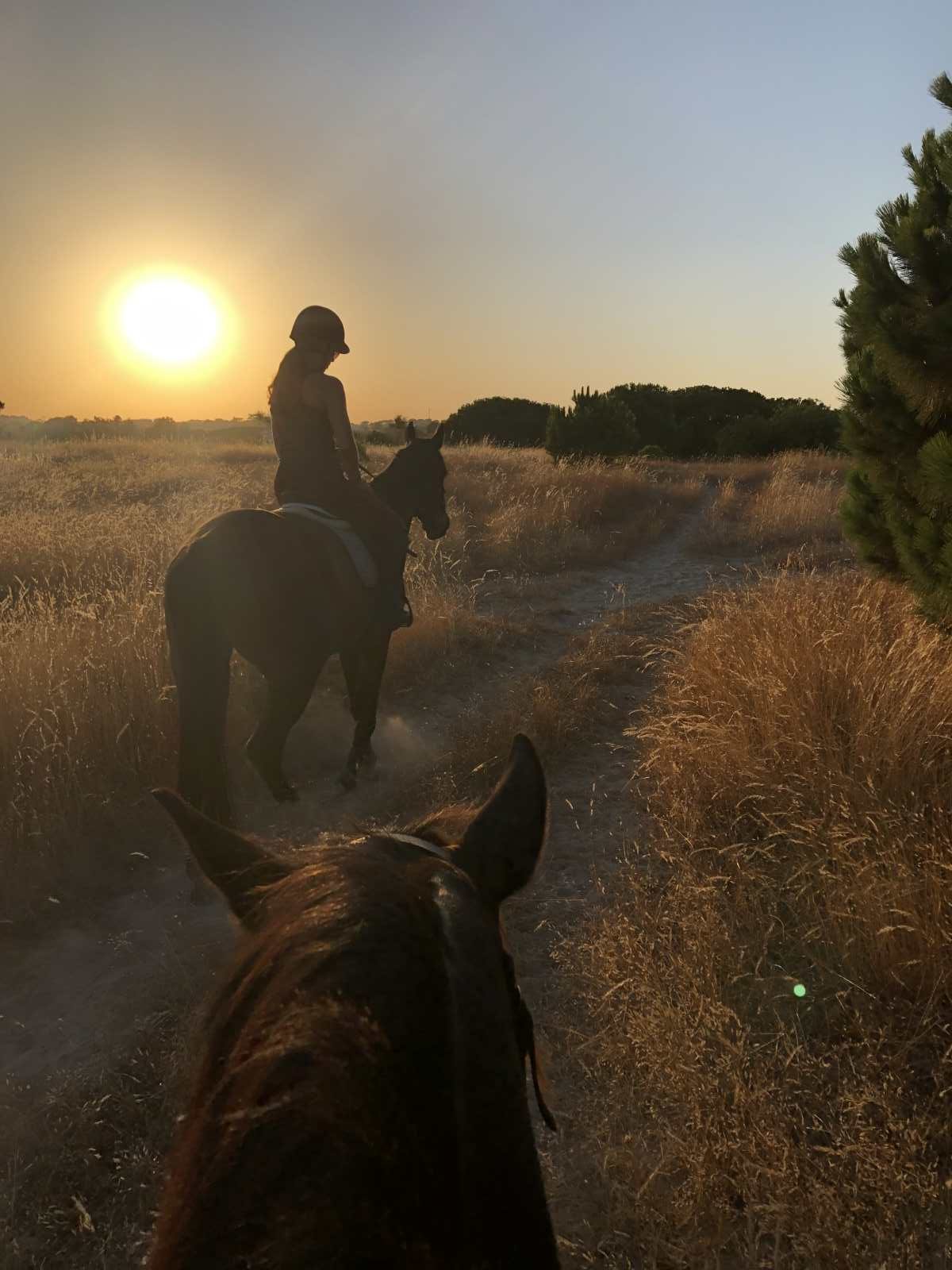 Special – Sunset Trek – 55€ | Albufeira Riding Centre