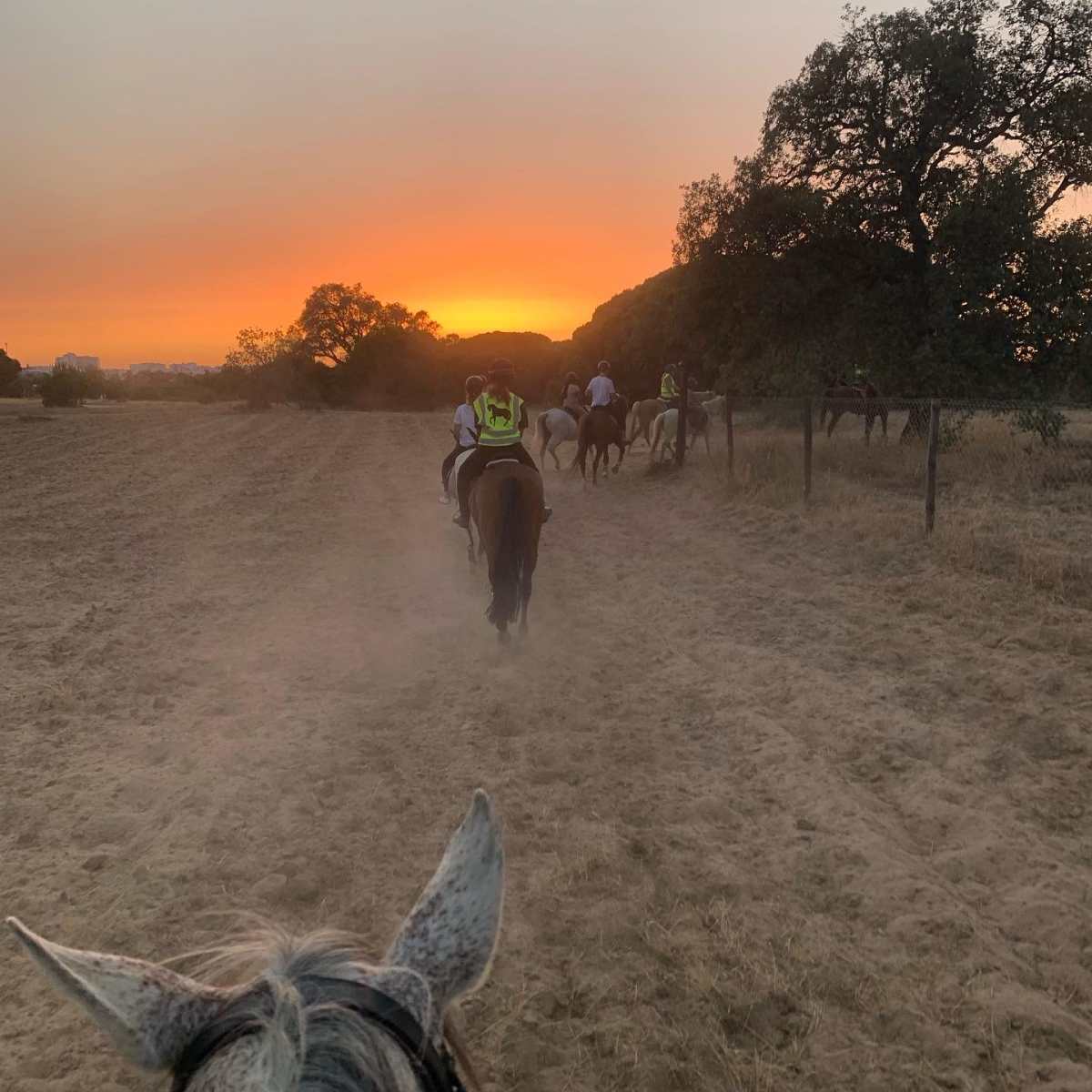 Special – Sunset Trek – 55€ | Albufeira Riding Centre