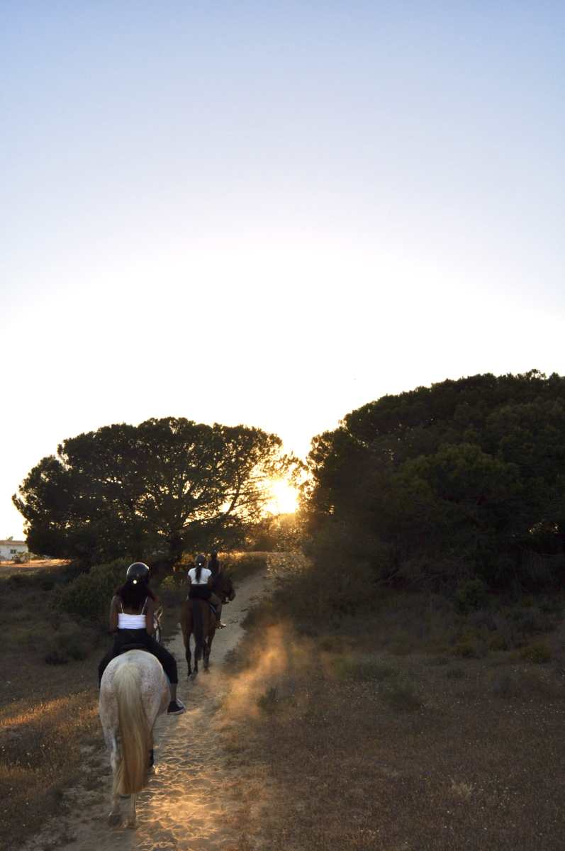 Special – Sunset Trek – 55€ | Albufeira Riding Centre