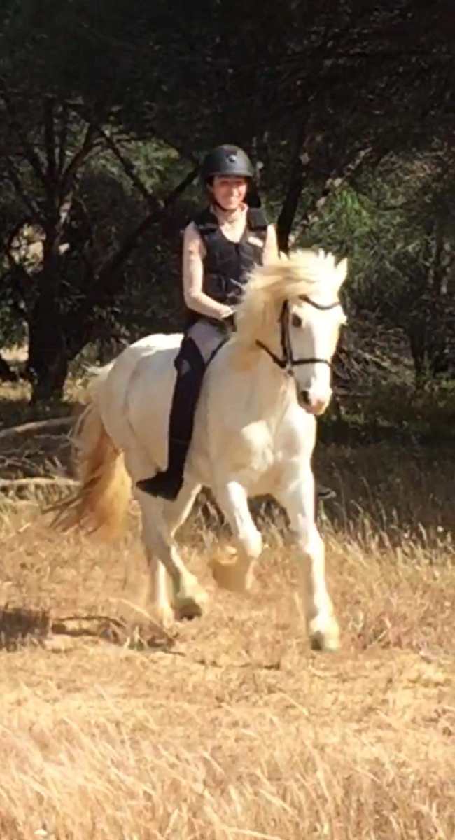 Saturday Pony Club | Albufeira Riding Centre