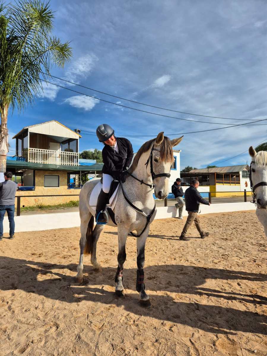 OUR HORSES | Albufeira Riding Centre